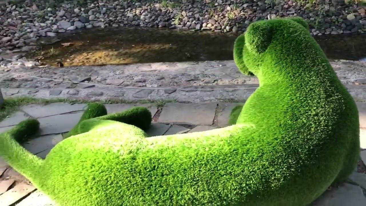 Сад, который построил купец для студентов