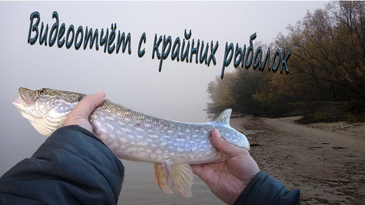 Видеоотчёт с крайних рыбалок (Осень)