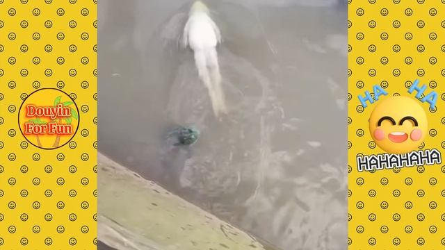 Best Fails Of The Week 😂 Pt. 15 - Try not to Laugh! 😝😭 Funny and Hilarious