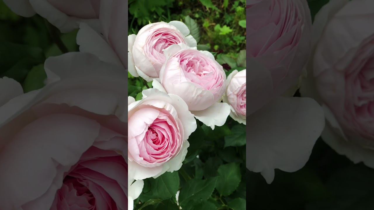 Вспомним этот год   2022