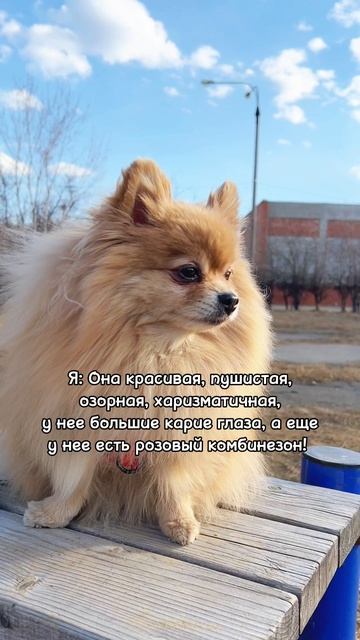 Басенька в образе человека!