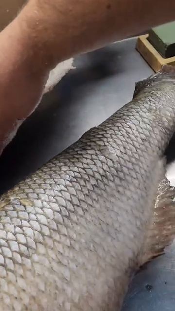 Сугудай-Нельма