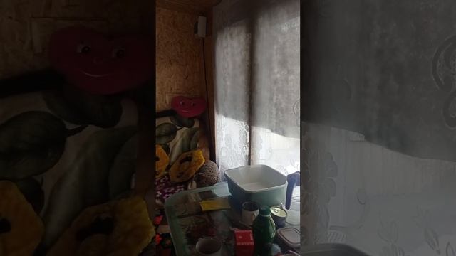 Первая попытка проехать в сад