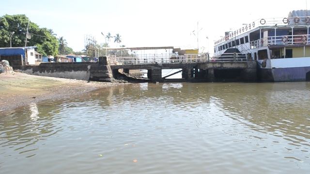 Паром через реку Мандови!