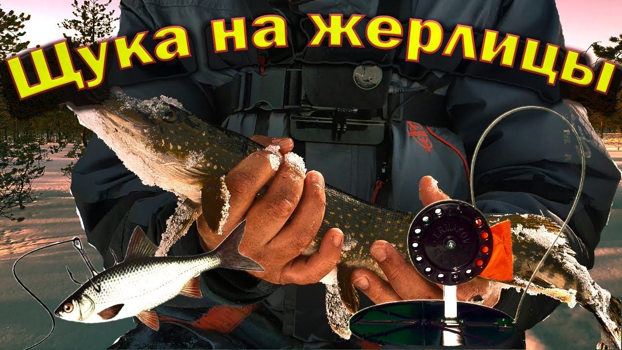 Поставили немного жерлиц на ночь. Одна из крайних рыбалок зимнего сезона 2024.