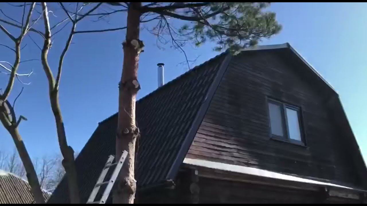 Обрезала старые деревья в саду и сосны: показываю, что получилось