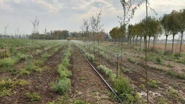 Сплинклер поливочный