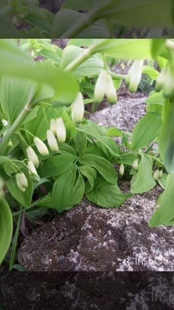 Доброго субботнего утра!💞