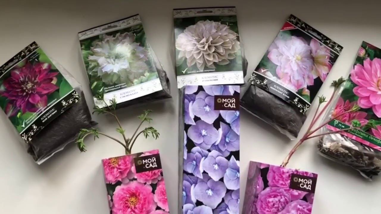 Лучший подарок для Хозяйки дома и сада на 8 Марта