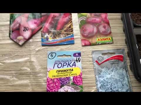 Посадки в начале февраля