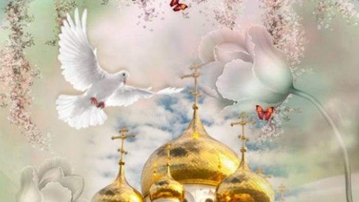 Вербное воскресенье 2025 – трогательное музыкальное поздравление! Перешлите близким!