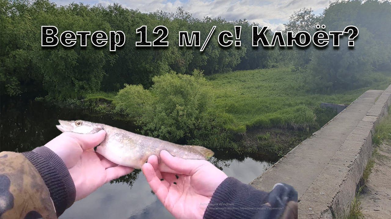 Микроджиг во время шторма! И что из этого вышло!