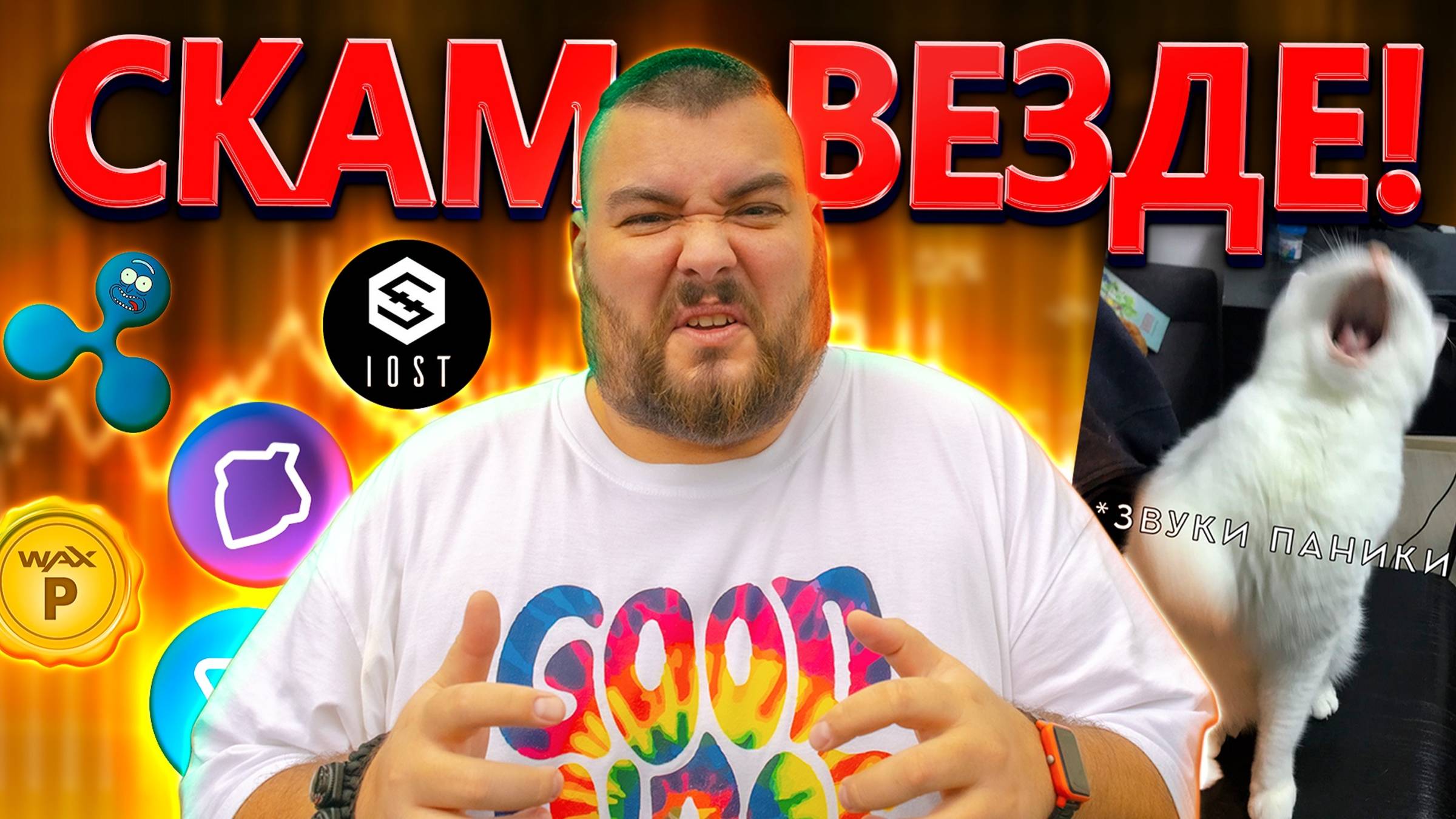 🔴 Вся правда про СКАМ в крипте - как вас кидают на арбитраже крипты