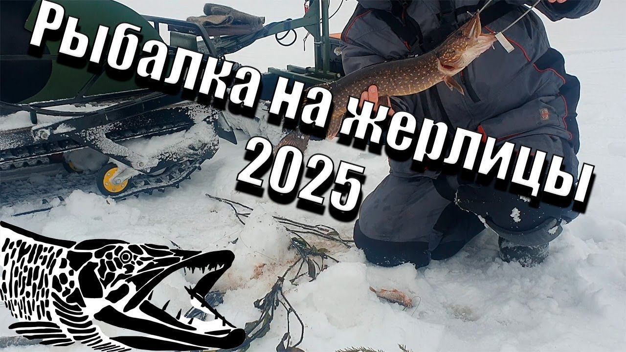 Рыбалка на жерлицы в феврале 2025! Скромная расстановка в знакомом месте.