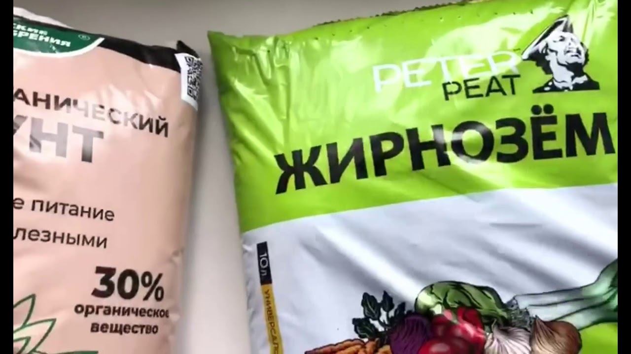 Как выбрать землю для рассады, чтобы не остаться без урожая. Тестирую разные грунты