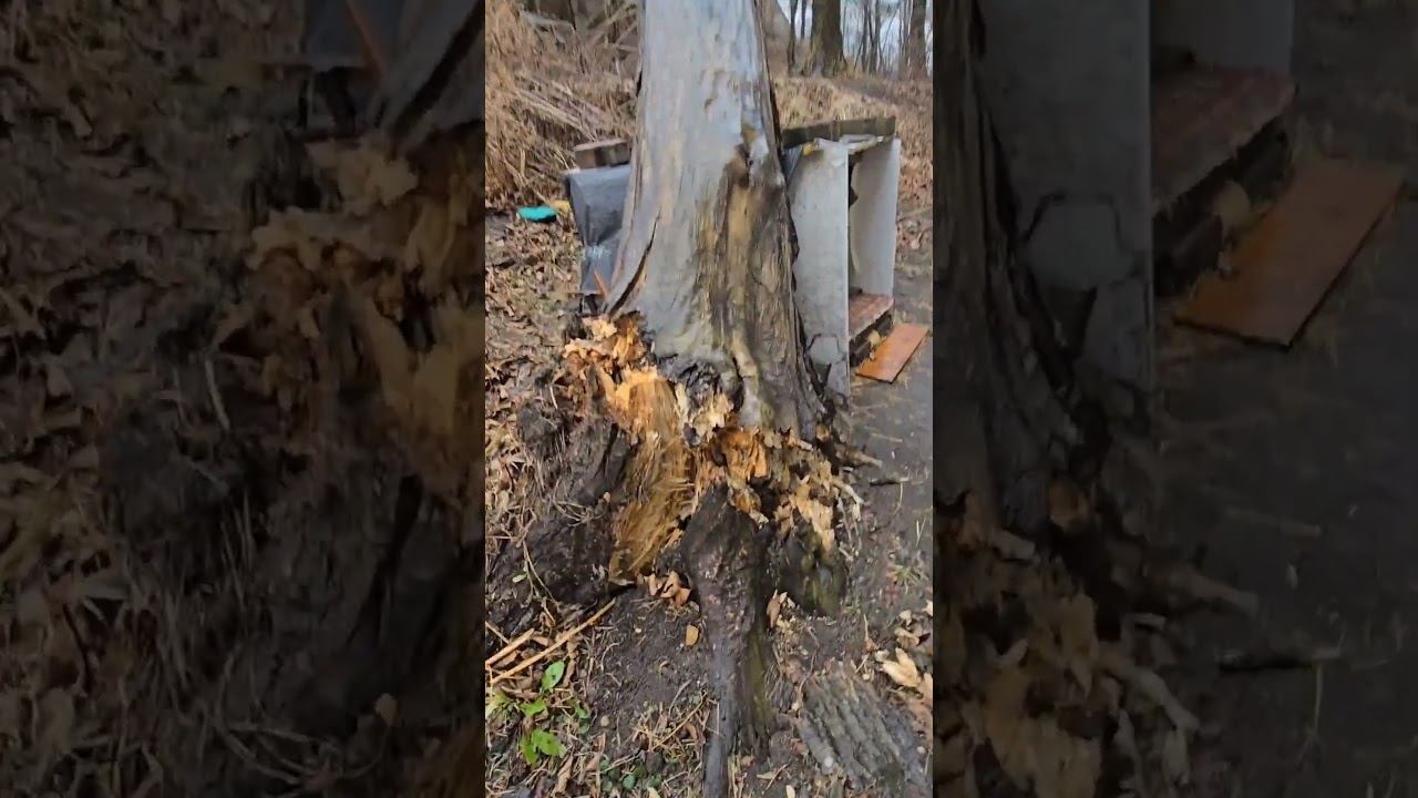 Владивосток 27.11.2024