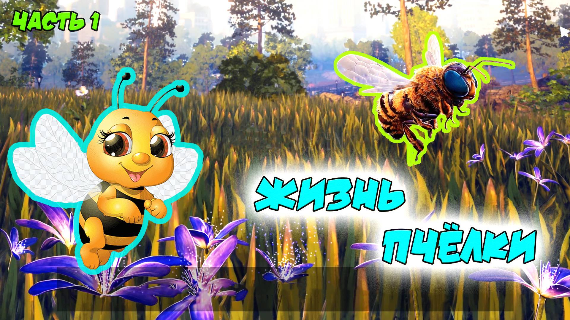 Жизнь Пчёлки 🐝