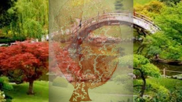 19балет Веера