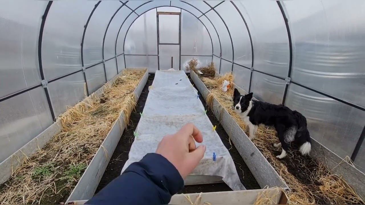 ЧТО МЫ  СДЕЛАЛИ  НА ДАЧЕ 26.03.2023