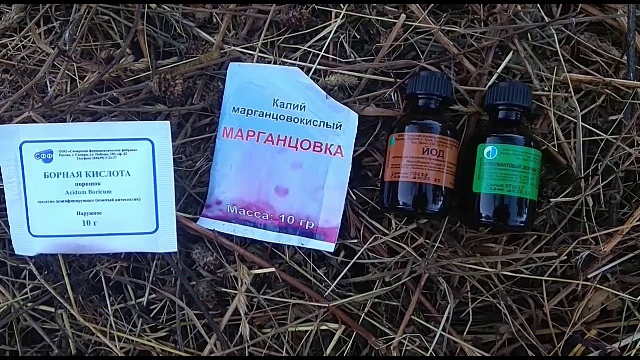 Растет все как на дрожжах. Гремучая смесь для подкормки всего огорода.