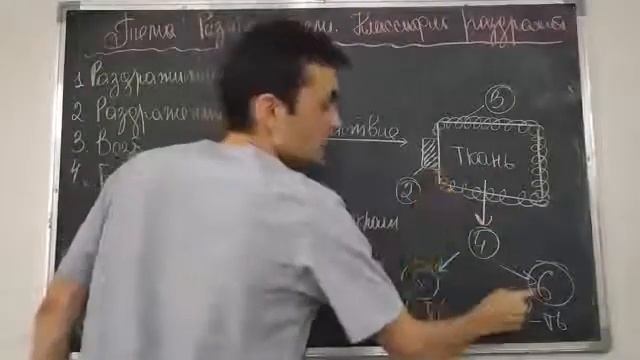 1 НАЧАЛО. ФИЗИОЛОГИЯ ЭТО