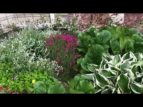 Ландшафтный дизайн Белокурихи