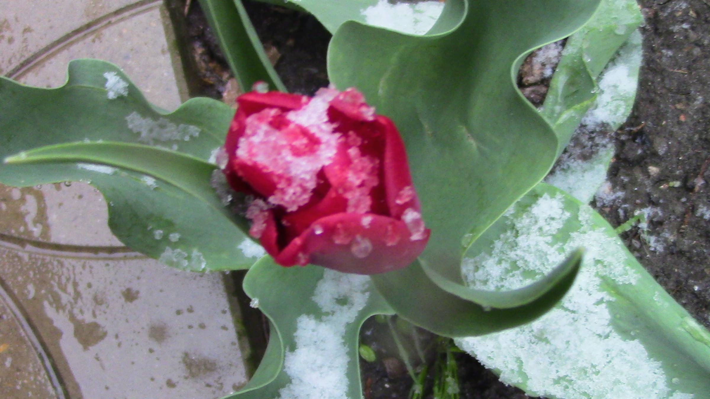 Сюрпризы погоды.