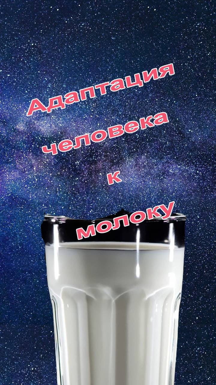 Как человек адаптировался к жизни с коровами