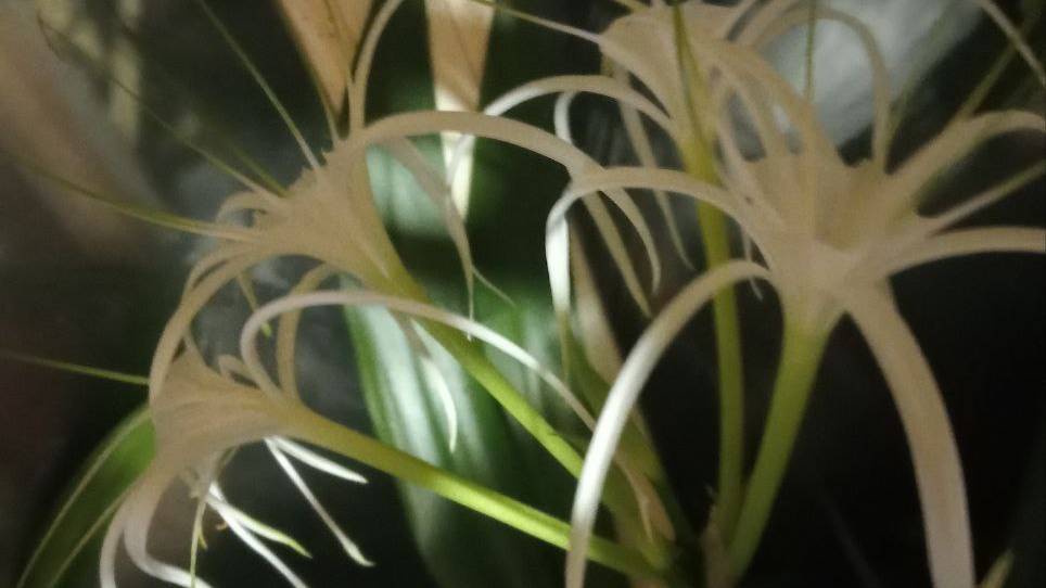 Георгий Свиридов. Романс к фильму "Метель".#слушать#музыку#красивая