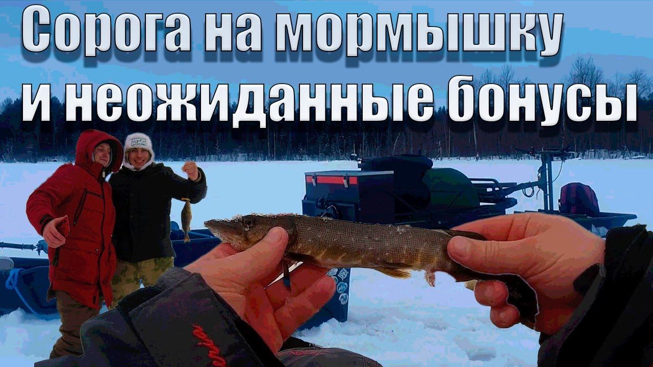 Ловля сороги на мормышку! Половили с друзьями на озере и выудили несколько бонусов!