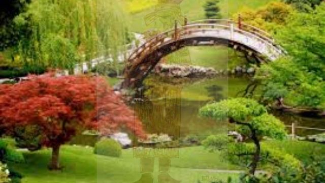 08сады Кяусар