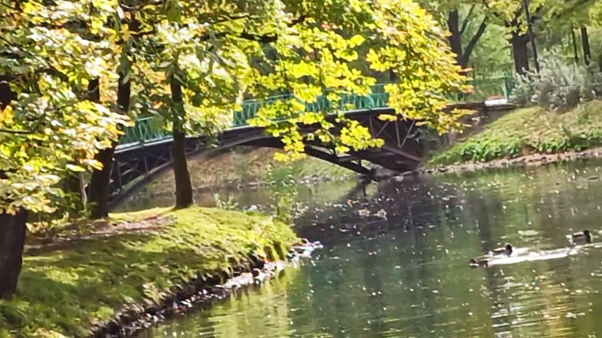 Оазис зелени и спокойствия в центре Северной столицы