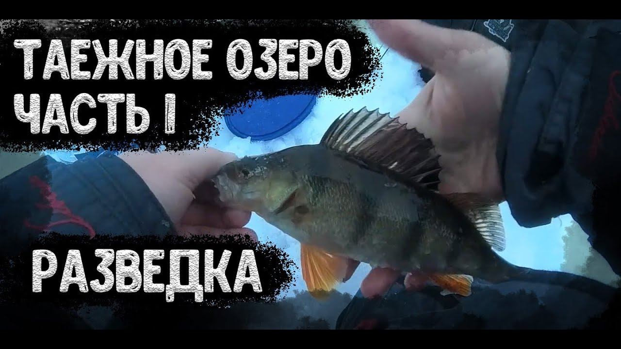 Рыбалка на диком таёжном озере часть 1. В поисках живца! И первая пойманная Щука!