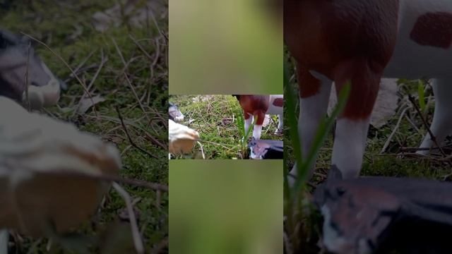 продолжение 3 сезон 1 серия