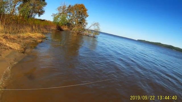 Первый осенний сиг  22.9.2019