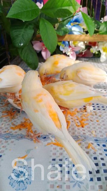 Дети и родители-2