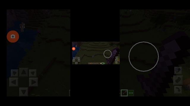 Осмотр на Minecraft