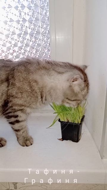 К кому-то я поднимусь даже в ад,
а к кому даже в рай билет не куплю!😉