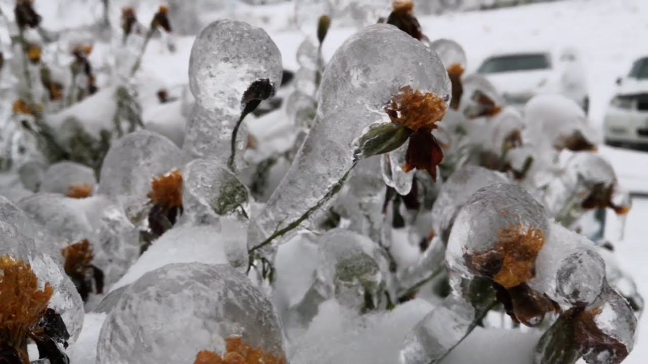 Владивосток/ Ледяной дождь/ Vladivostok freezing rain 20.11.2020