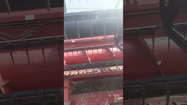 Комбайн
Торум
750 экспресс-обзор от Виталия Белоглазова