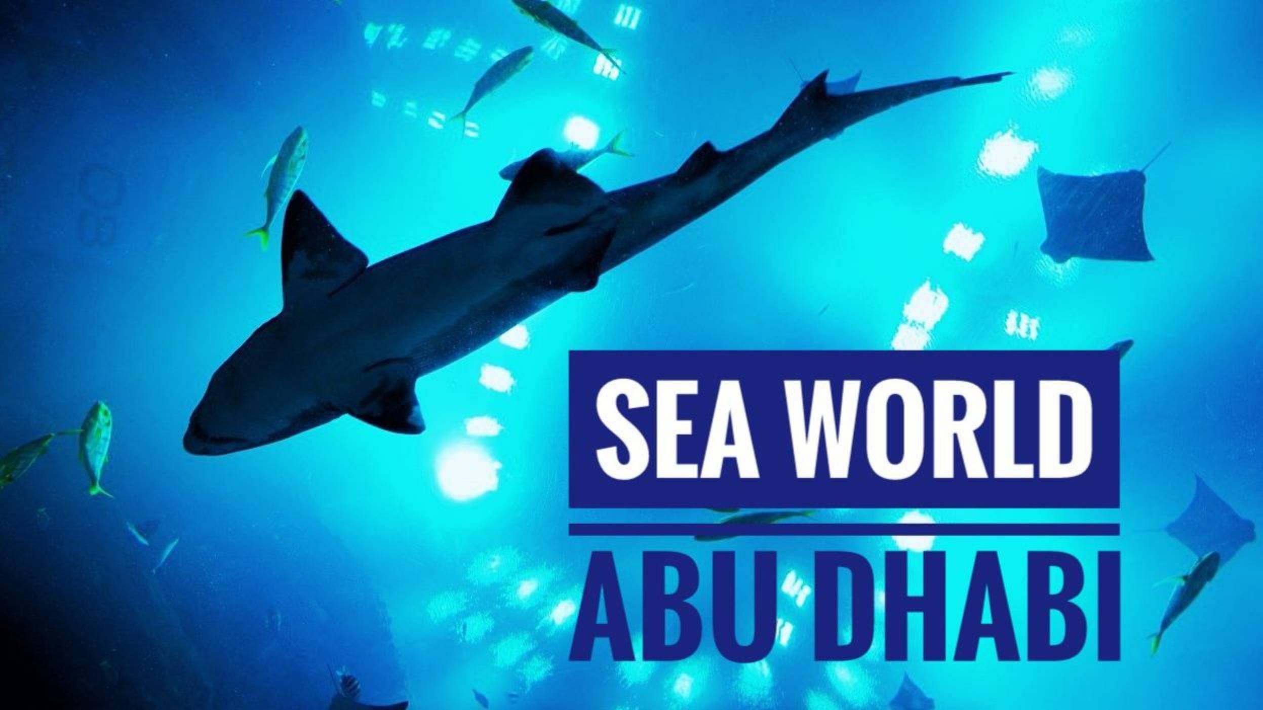 Sea World Abu Dhabi
