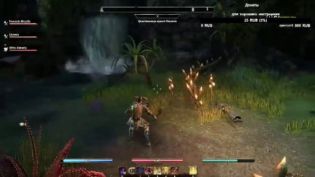 The Elder Scrolls Online/ co-op стрим