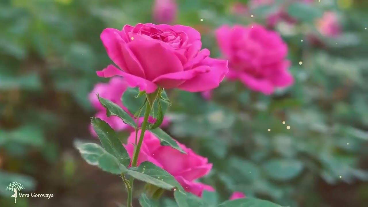 Мантра благословения и  открытия всех дорог