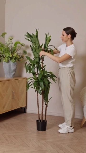 Как правильно расправить искусственные растения? Драцена, Treez Collection