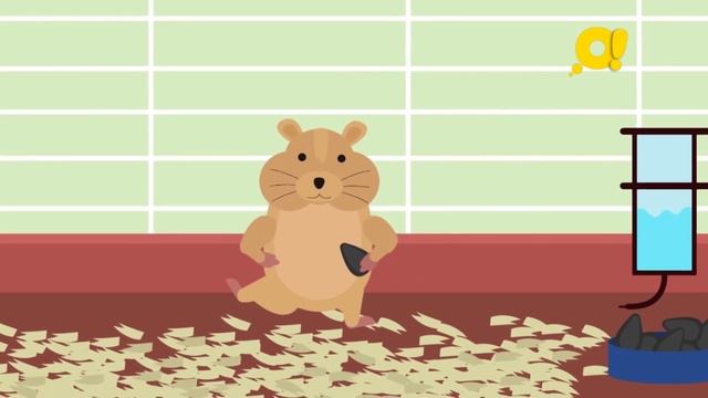 Веселые упражнения с Жужей: делаем зарядку как хомяк!