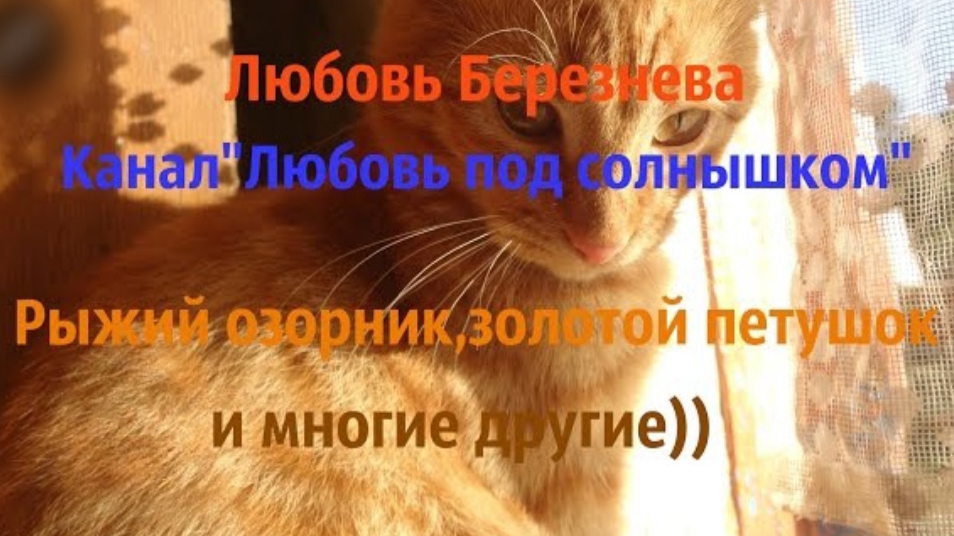 Рыжий озорник