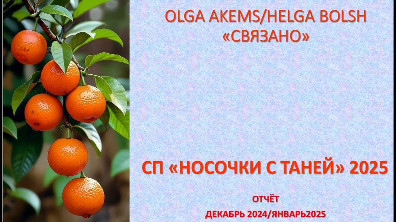 СП "Носочки с Таней" декабрь