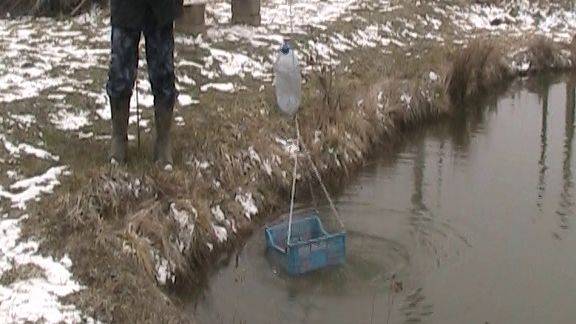 ЧЕМ МОЖНО ПОДКОРМИТЬ РЫБКУ? НОВЫЙ МОСТИК НА ПРУДУ, КОРМУШКА ДЛЯ РЫБЫ ПРОСТО, СВОИМИ РУКАМИ!!!