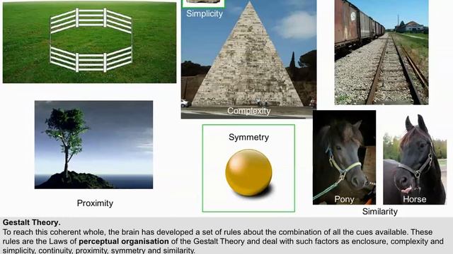 Human performance and  limitation 6-1 Познание