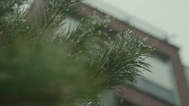 Снег в апреле.